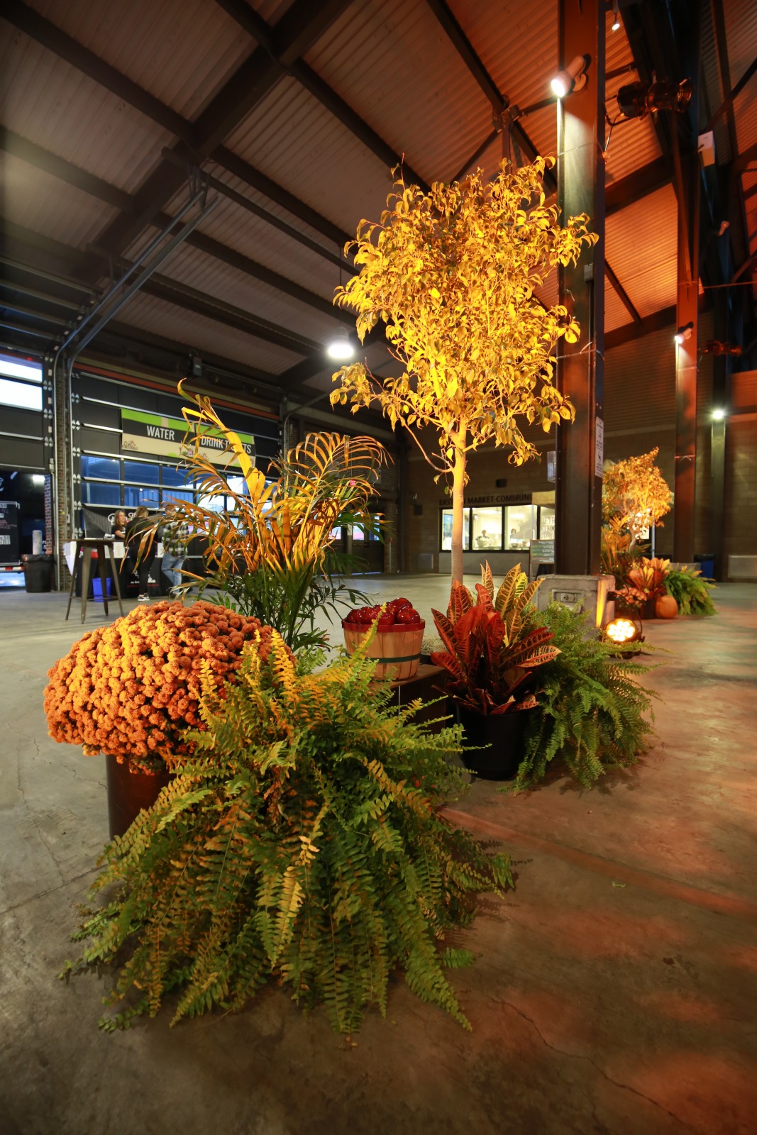 Fall Foliage and Plants - Display Group