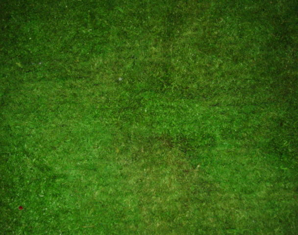 Grass Mat - Display Group