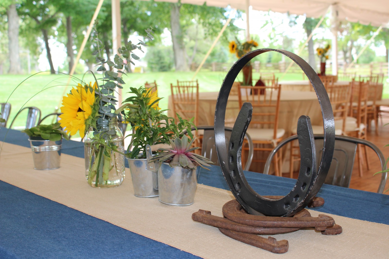 Western Horsehoe Centerpiece - Display Group