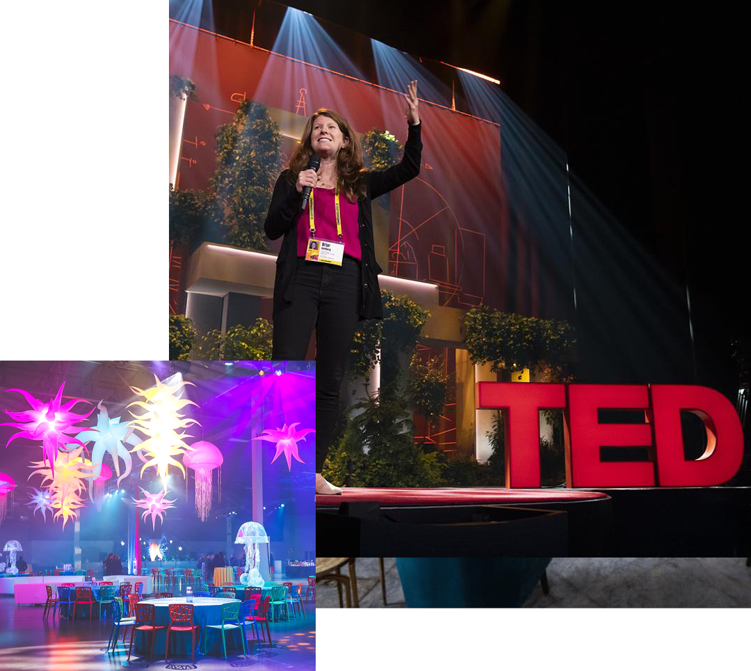 Home - Display Group